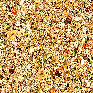 Volkman Seed Avian Science Super Hookbill 4lb