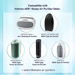 Holmes HAPF300AHD-U4R-2 Air Purifier Filter, 2 Count