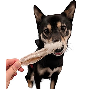 Dehydrated Rabbit Ears for Dogs & Cats - Furry Rabbit Ear Dog Treats - USA Sourced Whole Rabbit Ears with Fur for Dogs - Rawhide Alternative - 100% Single Ingredient Furry Rabbit Ears (6 Count)