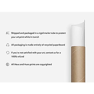 HAUS AND HUES Plant Pictures Wall Art - Succulent Art Wall Decor, Plant Prints Wall Art & Botanical Plant Wall Art Prints, Cactus Poster Botanical Flower pots on Shelves (Unframed, 16x20)