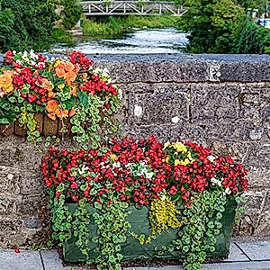 28 Gallon Exlarge Plastic Raised Planting Bed with 3 Compartments- 3 Divided Grids Rectangle Garden Grow Bag Potato Tomato Planter Pot Containers for Vegetables Plant Flowers Growing (Dark Green)