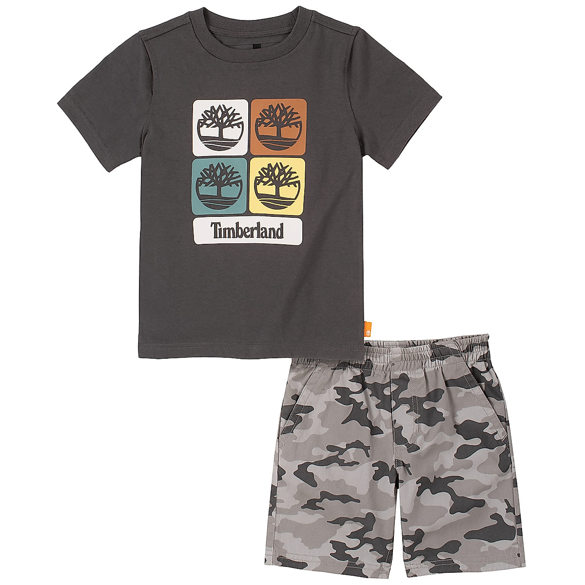 Timberland baby boys 2 Pieces Tee Shorts Set, Wolf Grey, 24M US