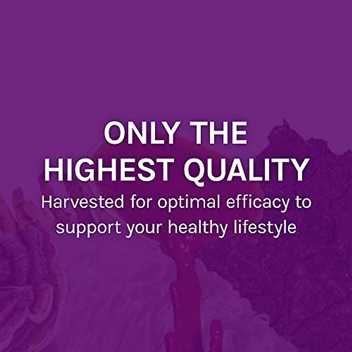Host Defense, MyCommunity Capsules, Advanced Immune Support, Mushroom Supplement with Lion’s Mane and Reishi, Unflavored, 120