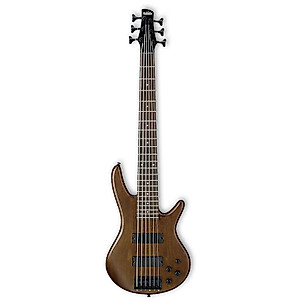 Ibanez GSR206BWNF 6-String Bass Guitar (Walnut Flat Finish) Bundle with Bass Combo Amplifier (Black) and Black Woven Right Angle Instrument Cable (10-Feet) (3 Items)