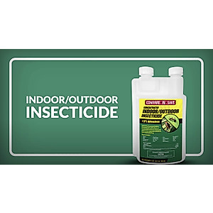Compare-N-Save Concentrate Indoor and Outdoor Insect Control, 32-Ounce