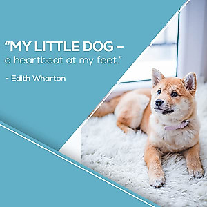 Miracle II Regular Soap Gallon, Green