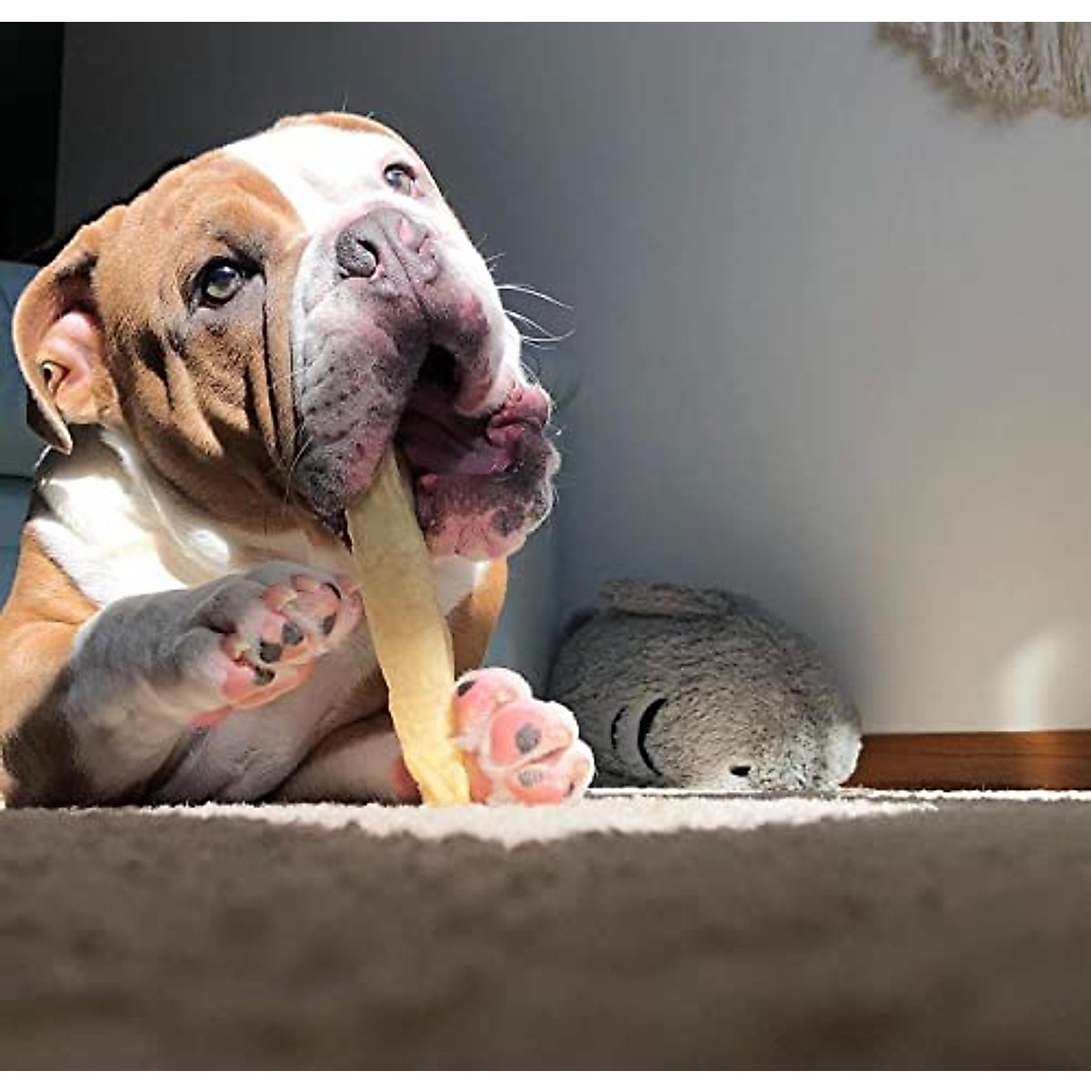 EcoKind Pet Treats Premium Gold Himalayan Yak Cheese Dog Chew, Gluten Free, Lactose Free, All Natural Chews for Small to Large Dogs | Keeps Dogs Busy & Enjoying, Indoors & Outdoor Use, 1 lb. Bag