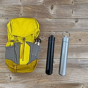 ACoiay Portable toothpick holder Stainless Steelaluminum Waterproof,toothpick case travel Pocket3 Pieces with Keychain, forOutdoor Picnic and Camping(A) (Stainless Steel)