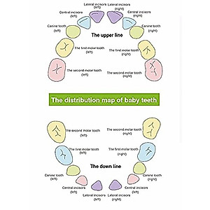 Anbaby Cute Personality Baby Teeth Box Save Wooden Boxes Deciduous Souvenir Box (Boy)