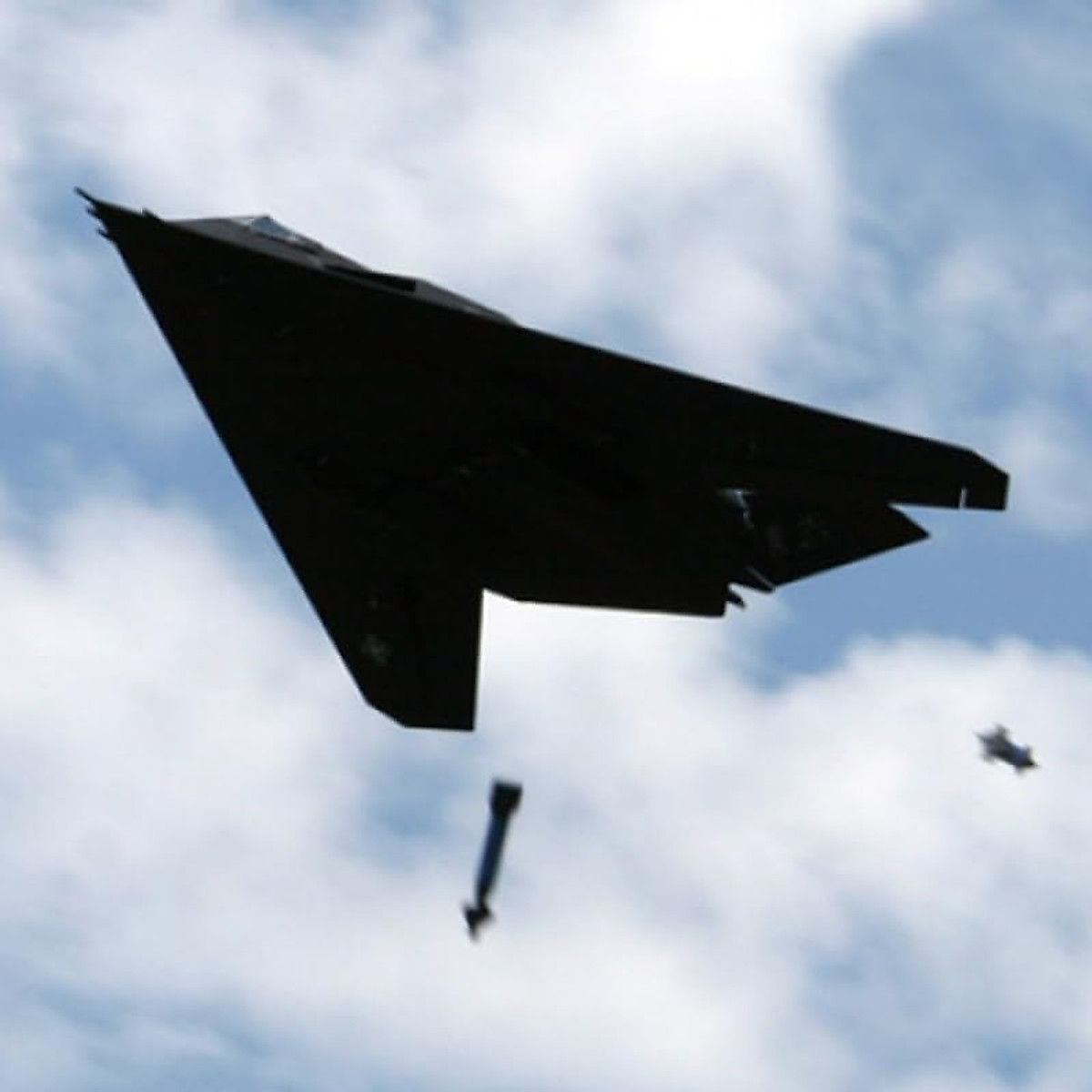 Sky Flight Hobby/Lanxiang/LX 70mm EDF Jets F117 Nighthawk PNP/ARF RC Flighter Plane