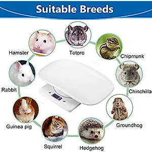 Small Animal Scale - LCD Electronic Scales with 3 Weighing Modes Multifunctional Digital Pet Scale for Ferret Hamster Hedgehog Lizard New Born Kitten Puppy (Max: 22lbs) (White)