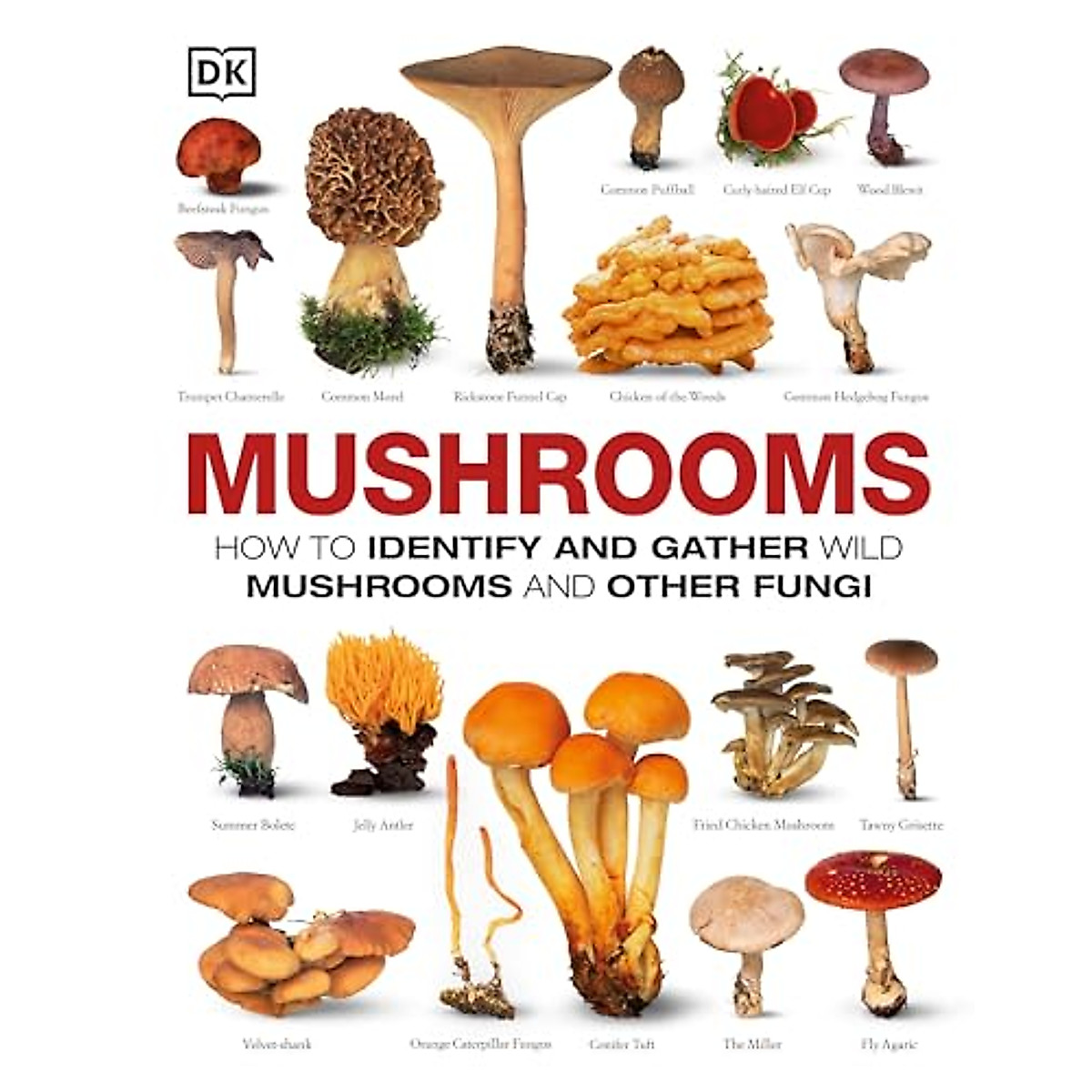 Mushrooms: How to Identify and Gather Wild Mushrooms and Other Fungi