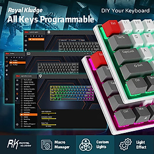 RK ROYAL KLUDGE RK G68 65% Wireless Mechanical Keyboard, Bluetooth5.1/2.4G/Wired Hot Swappable Mechanical Keyboard with 3 USB Ports, 68 Keys RGB Blue Switch for Mac Windows, Classical Red