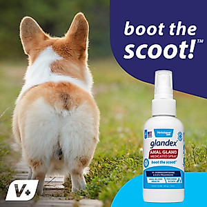 Glandex Medicated Spray for Dogs & Cats (4oz) and Glandex anal gland Support Chews 30 Ct Bundle Dog Deodorizing Spray & Anti-Itch Spray for Dogs, Dog Treats with Probiotics