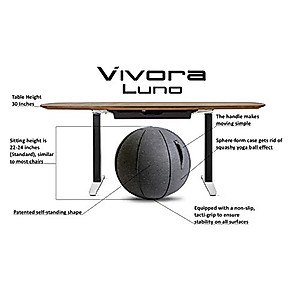 Vivora Luno Exercise Ball Chair, Canvas & Felt for Home Offices, Balance Training, Yoga Ball
