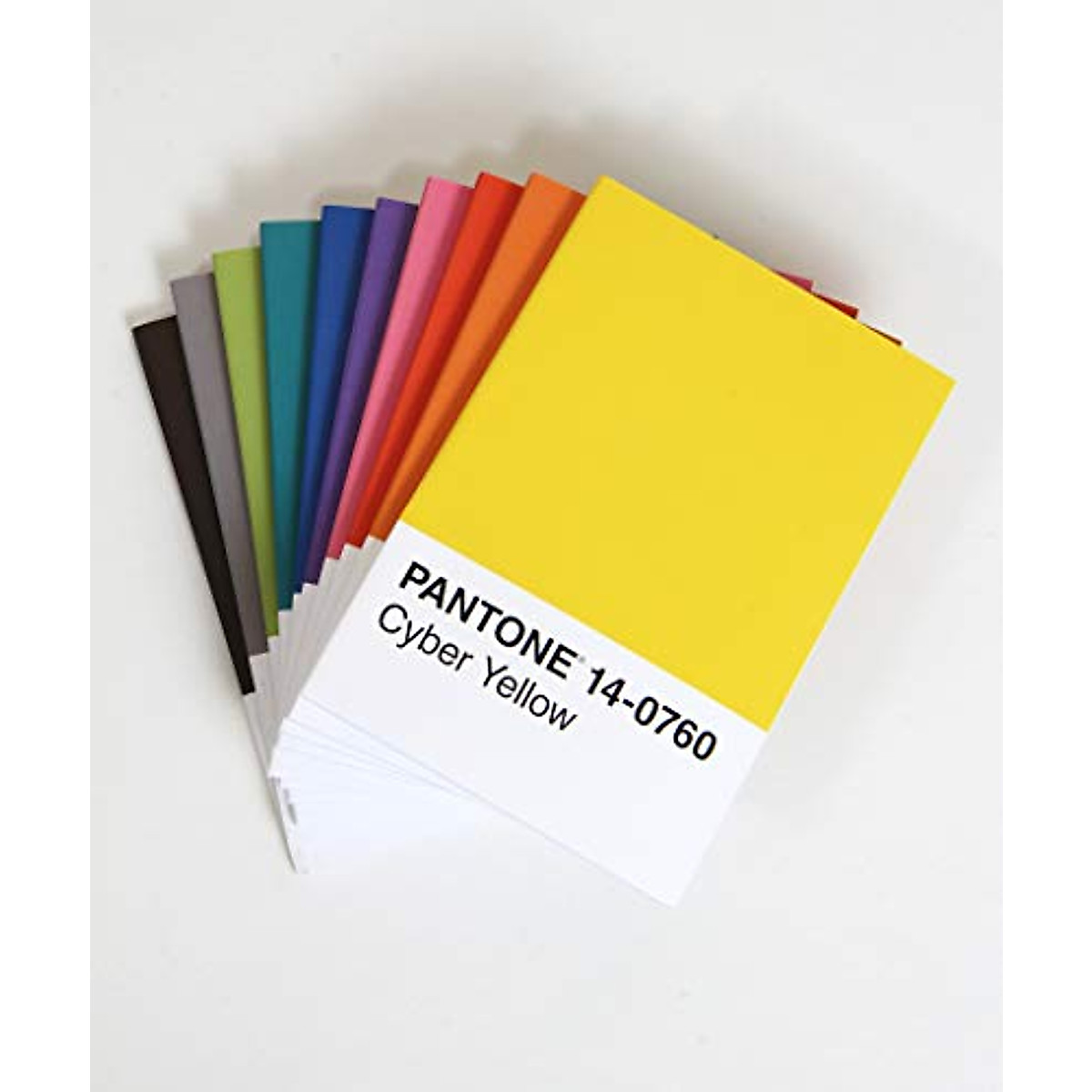 Pantone: 10 Notebooks