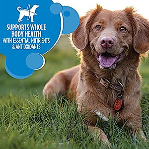 IAMS Adult Healthy Weight Control Dry Dog Food with Real Chicken, 15 lb. Bag