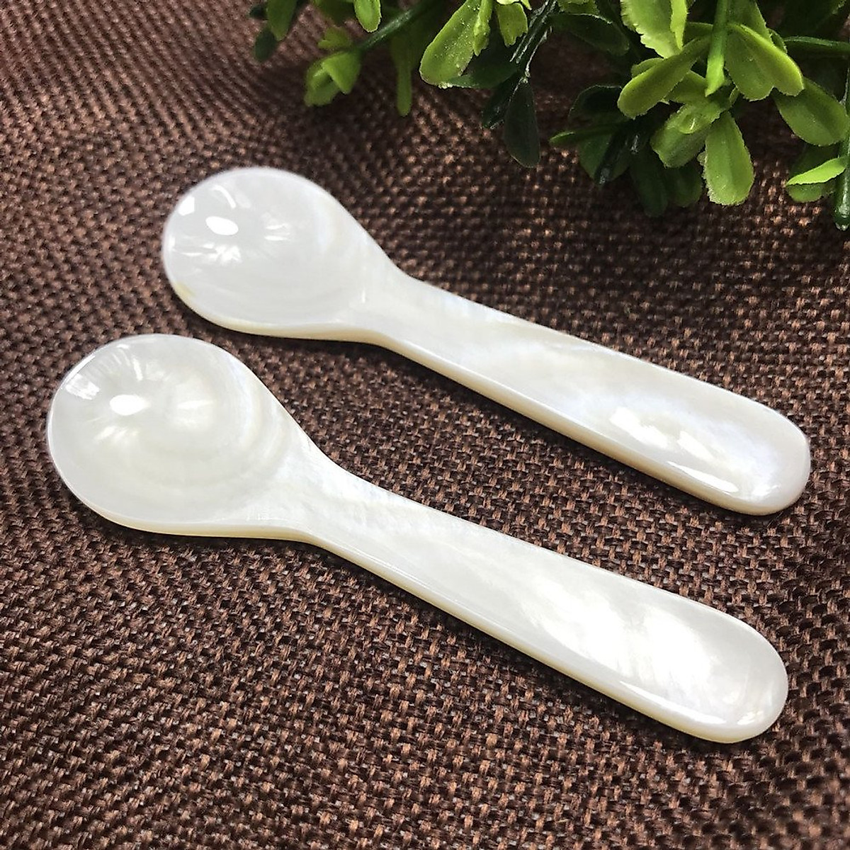 Caviar Spoons - EvaGO Mother of Pearl MOP Caviar Spoon W Round Handle 3.55 inch, 2 pack
