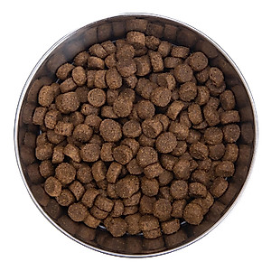 Health Extension Grain Free Chicken & Turkey Dry Dog Food (10 lb / 4.54 kg) - Whole Foods Ingredients Formula with a Blend of Turmeric & Antioxidants for All Life Stages Dogs