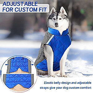 Cold Weather Dog Coats, Waterproof Dog Winter Coat Thick Padded Cozy Vest Reflective Warm Dog Vest Dog Snow Jacket with Leash Attachment Pet Winter Clothes for Small Medium Large Dogs, Red, Blue