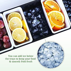 POWLAB Ice Cooled Condiment Serving Container Fruit Veggie Condiment Caddy Plastic Garnish Station with Lid for Fruit ,Ice Cream,Salad Bar-Topping Organizer for Restaurant Supplies (6 Compartments)