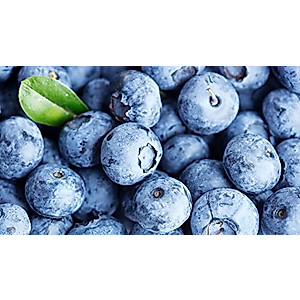 Plantooo 300+ Blueberry Seeds for Planting - Non-GMO - Organic Friut Blueberry Bush Seeds to Plant Garden/Outdoor/Bonsai