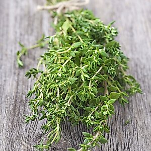 Thyme Seeds - 1/4 Pound - Herb Seeds, Heirloom Seed, Open Pollinated Seed Attracts Bees, Attracts Butterflies, Attracts Pollinators, Fragrant, Culinary