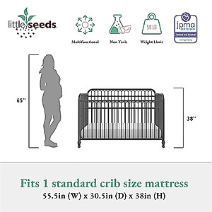 Little Seeds Raven 3-in-1 Convertible Metal Crib, JMPA Certified, Gray