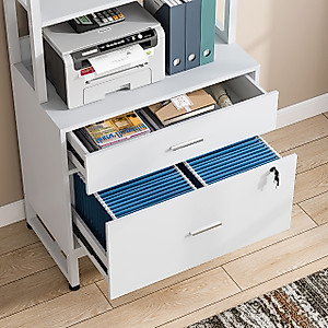 LITTLE TREE 2 Drawers Vertical Office File Cabinet