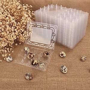 KUKLIPJIM 200 Pack Quail Egg Cartons, Clear Plastic Quail Egg Trays, Holds up to 12 Quail Eggs Securely - Your Ultimate Small Eggs Carton Holders for Bulk Storage and Display