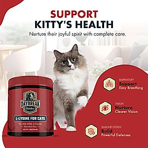 L-Lysine for Cats and Kittens - 900 mg L Lysine Powder for Cats for Immunity & Respiratory Support - Cat Supplement with L-Lysine, Prebiotics, Krill, & DMG for Immune System, Eye Health & Sneezing