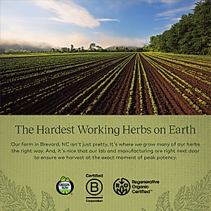 Gaia Herbs Fenugreek Seed - Helps Support Healthy Lactation and Breast Milk Production* - Made with Organic Fenugreek Seeds - 60 Vegan Liquid Phyto-Capsules (Up to 15-Day Supply)