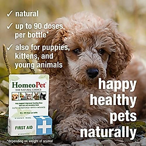 HomeoPet First Aid, Safe and Natural Oral Wound Care for Dogs, Cats, and Other Pets, 15 Milliliters