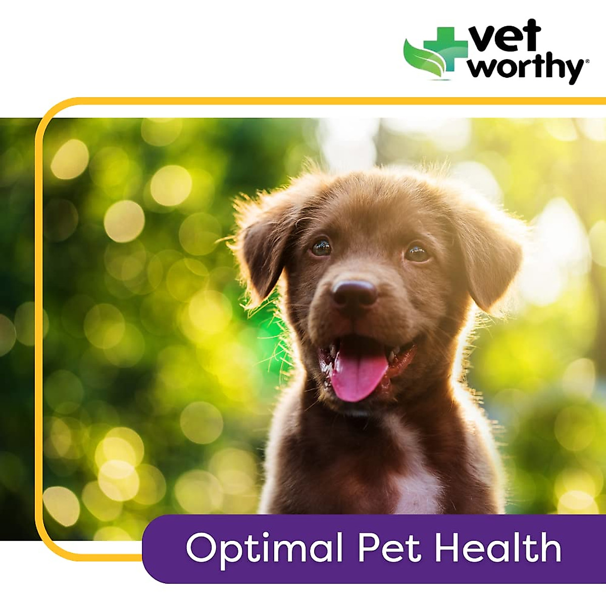 Vet Worthy Puppy MultiVitamins - Multivitamin for Puppies to Support Optimum Health & Overall Wellness - Dog Supplement with Iron,Magnesium,Zinc,Vitamin A,B Vitamins - Liver Flavor,60 Chewable Tablets