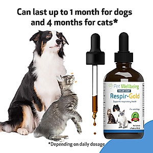 Pet Wellbeing Respir-Gold for Dogs & Cats - Supports Healthy Breathing, Open Airways, Respiratory Support, Black Cumin, Horehound, Grindelia - Veterinarian-Formulated Herbal Supplement 4 oz (118 ml)