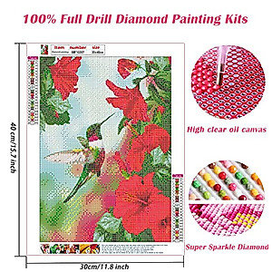 HSENJT DIY 5D Diamond Craft Painting Kits Bird,Flowers Diamond Art for Adults Kids,Hummingbird Full Drill Diamond Arts Crafts for Wall Decor Gift Relaxation 12x16 Inch