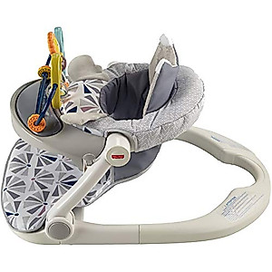 Fisher-Price Premium Sit Me Up Floor Seat with Toy Tray Owl