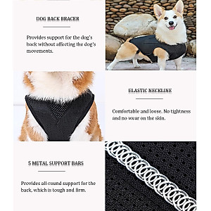 RUIFAR IVDD Back Brace for Dogs, Flexible Pet Dachshund Back Supporting Vest, Dog Back Bracer for Small Pet with Arthritis, Back Pain,Herniated Disc,Spinal Surgical Recovery (S)