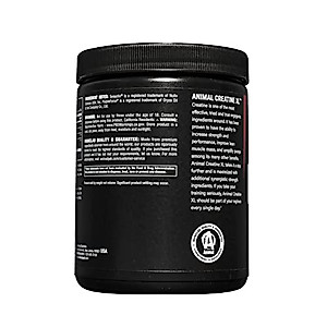Animal Creatine XL Powder - Enhanced Pre Workout Creatine Monohydrate Supplement - Support Brain Health, Delay Fatigue, Enhance Endurance, Improve Recovery, Men and Women - Fruit Punch