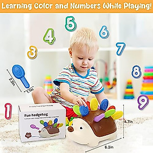 Baby Toys for 1 Year Old Boy Girl,Toddler Toys Fine Motor Skills Games Counting and Sorting,Kids Educational Learning Toys for 1 2 3 Year Old Girls Boys,Toys for Toddlers 1-3 Birthday Gift Outdoor