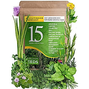 15 Culinary Medicinal Herb Seeds Pack for Planting Indoors and Outdoors - 100% Heirloom, USA Grown, Non GMO - Good for Hydroponic Garden - Arugula, Chives, Cilantro, Italian Basil, Parsley, and More