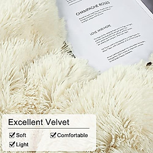 Plush Duvet Cover Set, Luxury Ultra Soft Velvet Duvet Cover Set Fluffy Plush Shaggy Bedding Sets 4 Pieces(1 Duvet Cover + 2 Pillow Case + 1 Pillow Cover) Zipper Closure (Queen, Light Beige)