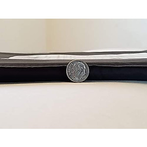 C.S.S.A. School and Travel Backpack Shield Insert Soft and Flexible Protection For Your Back with Round Top