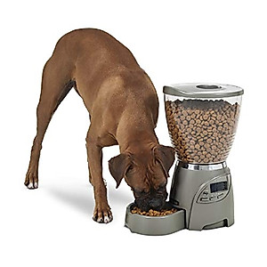 Petmate Portion Right Programmable Dog and Cat Feeder 2 Sizes Brushed Nickel