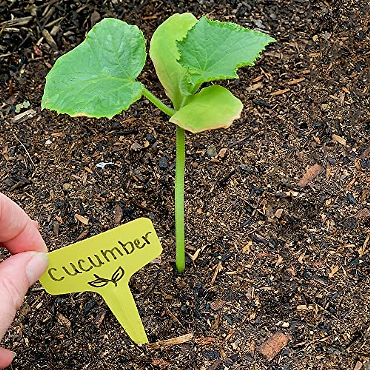 DIY Gardening Kit For Kids Girls & Boys of All Ages | Fun Craft Activity Kids Plant Growing Kit| Learn How to Grow Your Own Vegetables & Flowers with Supplies from Grow and Make| Kids Seed Growing Kit