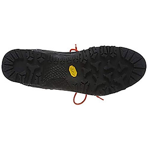 Salewa Mens MS Rapace Gore-TEX High Rise Hiking Shoes, Red (Bergrot/Holland), 9 US