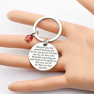 TIIMG Ladybug Inspirational Keychain Ladybug Lover Gifts Good Luck Gifts For Friend Best Friend (Ladybug whenever)