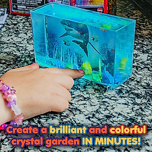 Toysmith Magic Rocks Instant Crystal Growing Kit (Assorted Styles)