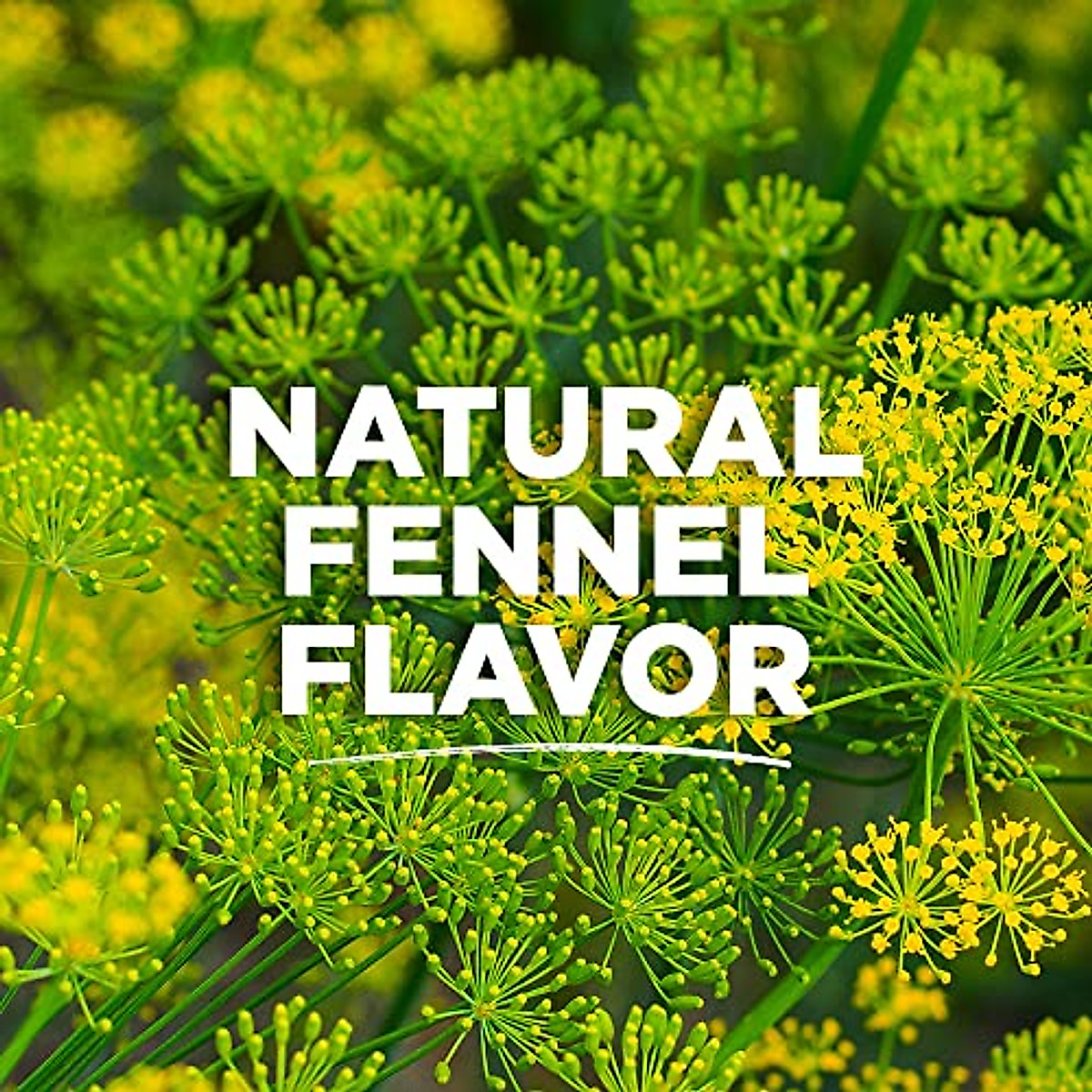 Tom's of Maine Fluoride-Free Propolis & Myrrh Natural Toothpaste, Fennel, 5.5 oz (Pack of 2) (Packaging May Vary)