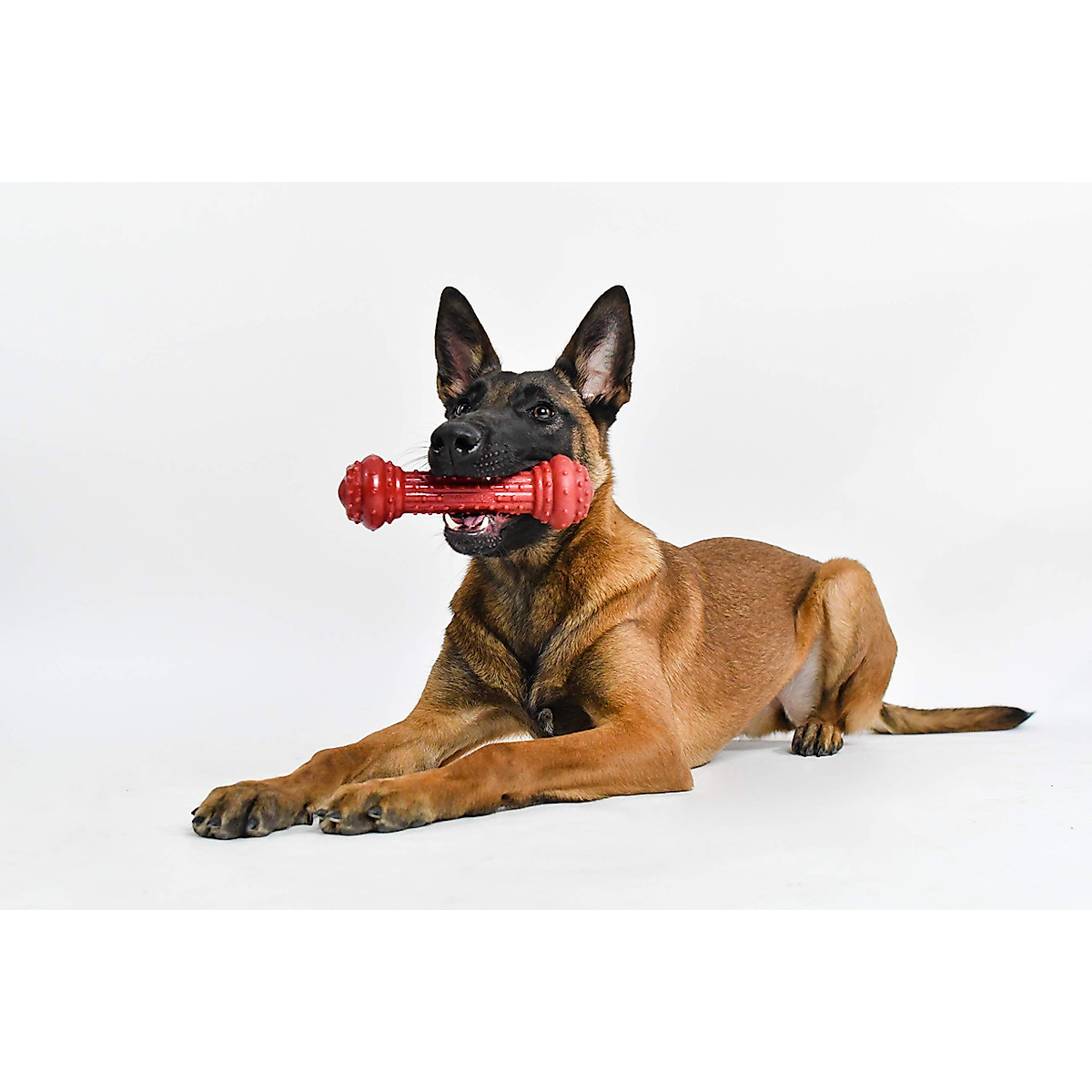 Pet Qwerks Bongo BarkBone - Nylon Dog Bone for Aggressive Chewers - Prime Rib Flavor - Large